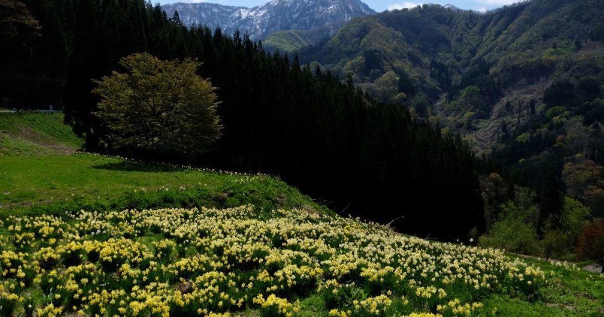 Walk Japan’s Ancient Salt Road with Guided by Nature